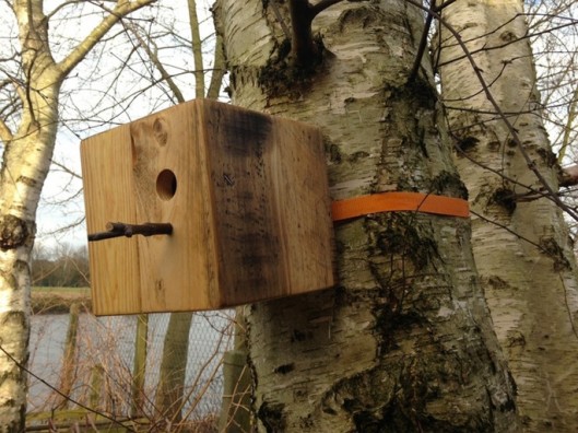 How to Make a Bee or Bird Box Habitat Out of Pallets