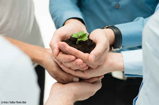 Going Green: Team Building The Earth-Friendly Way