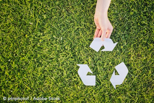 Recycling's Role in the Sustainability of the Environment