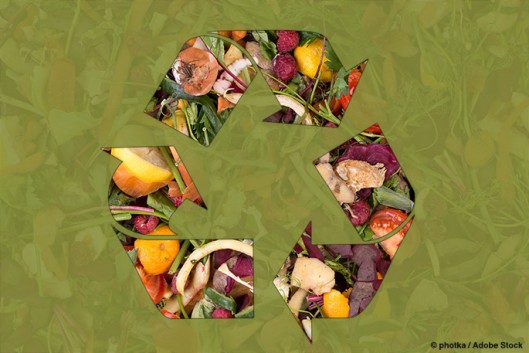 Turning Recycled Food Waste into Powdered Food Supplements