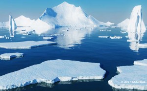 How Can Recycling Bins Help the Arctic?