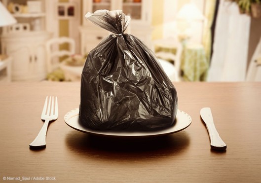 Food Waste Hazards | Why is Food Waste Bad and Hazardous?