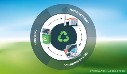 Organic and Food Waste Valorization and Its Meaning