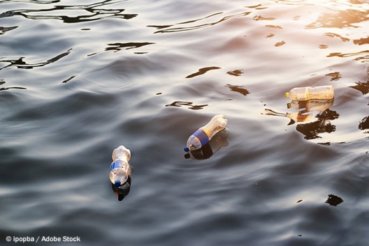 WasteShark Design & Purpose - Remove Trash From Our Ocean